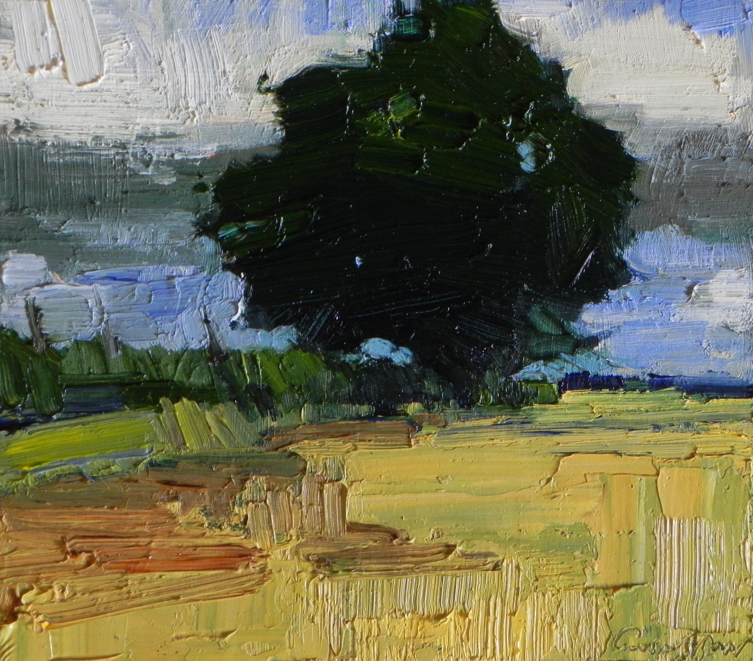 Emerson Mayes – Field Corner | New Light Art